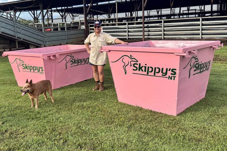 Our Range of Skip Bin sizes by Skippy's NT Darwin